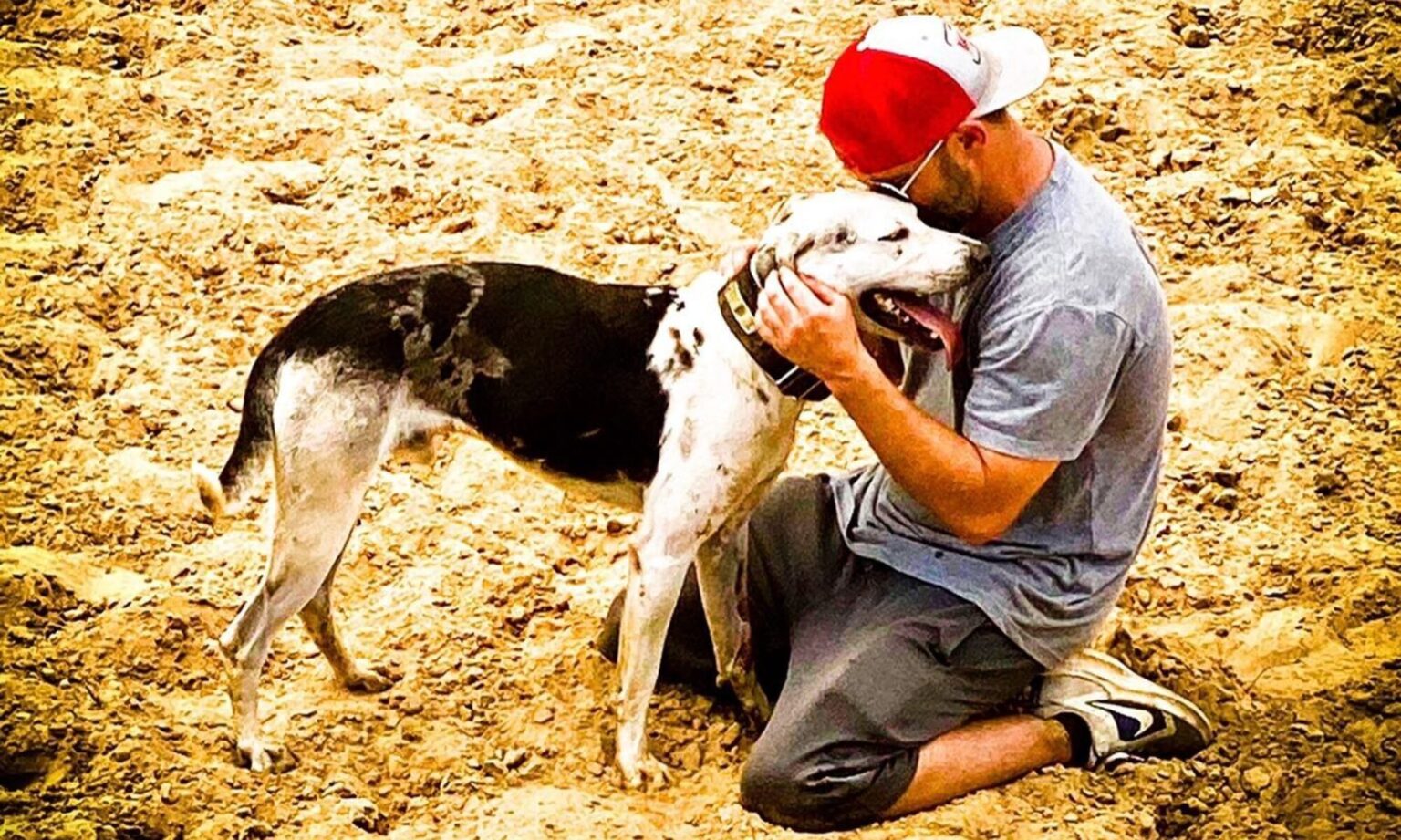 Goose – The Official Site of 5X World Champion Bay Dog